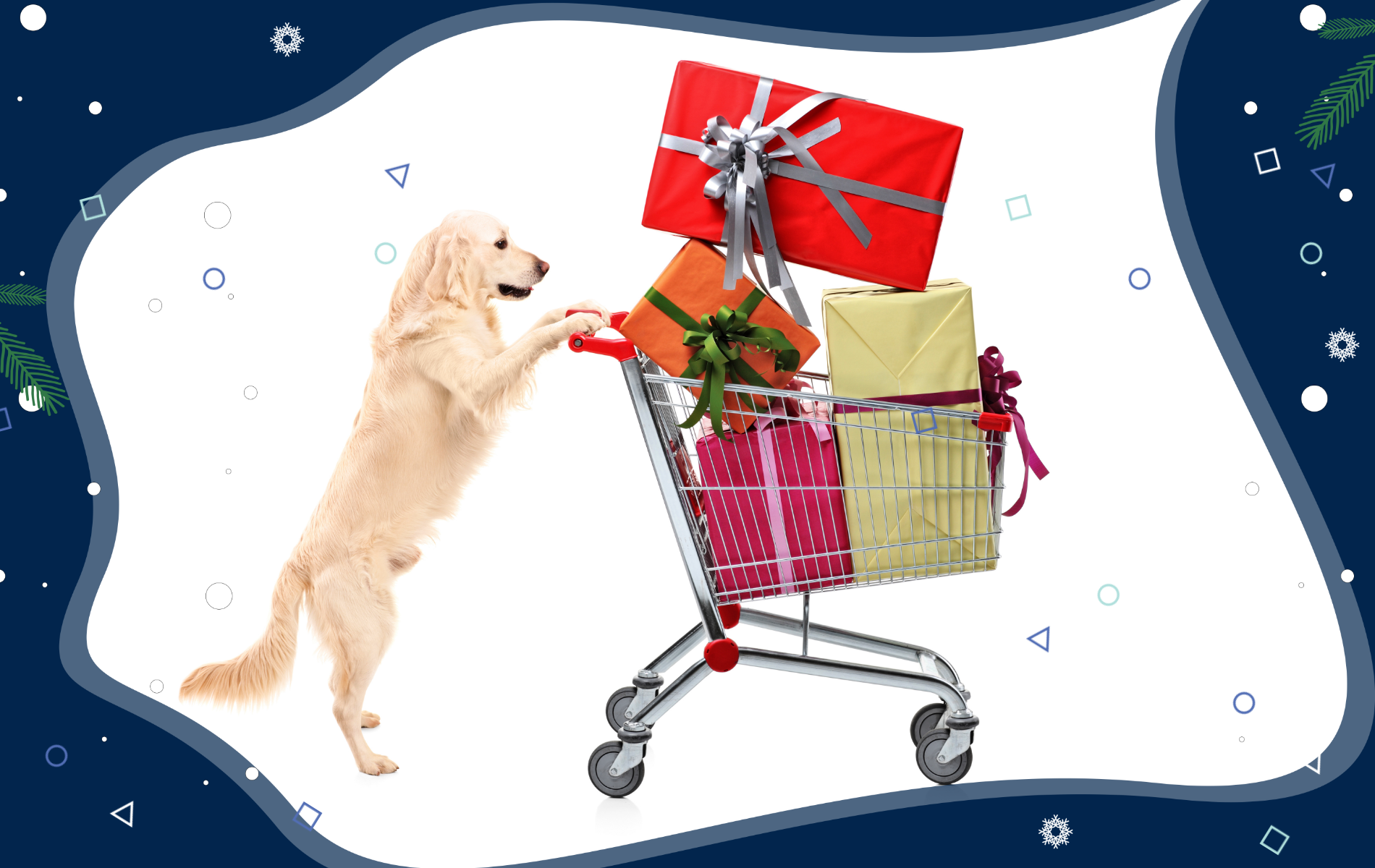 TikTok’s Hacks for Saving Money During Holidays | Credello