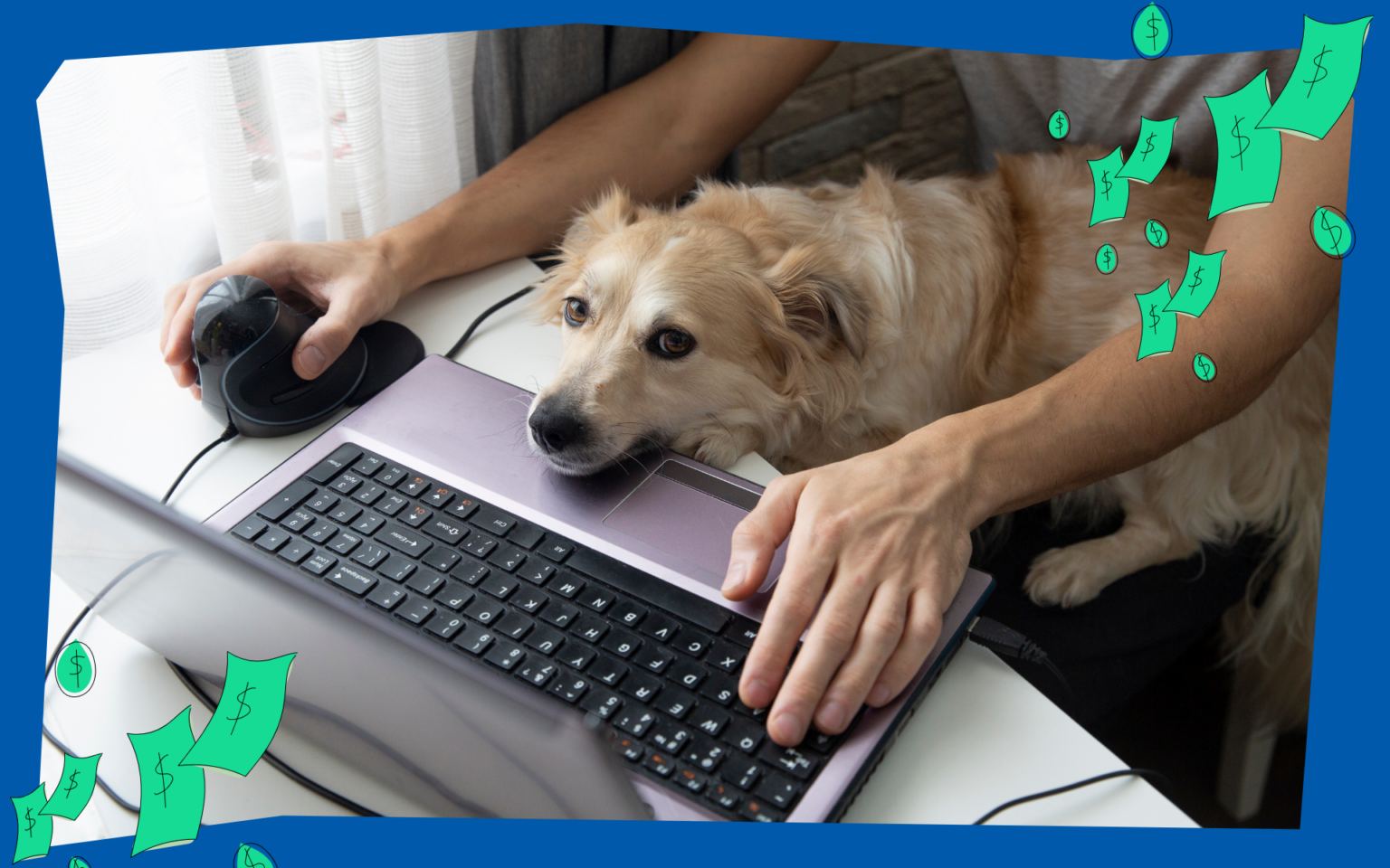 17 Best Online Jobs from Home in 2024 | Credello