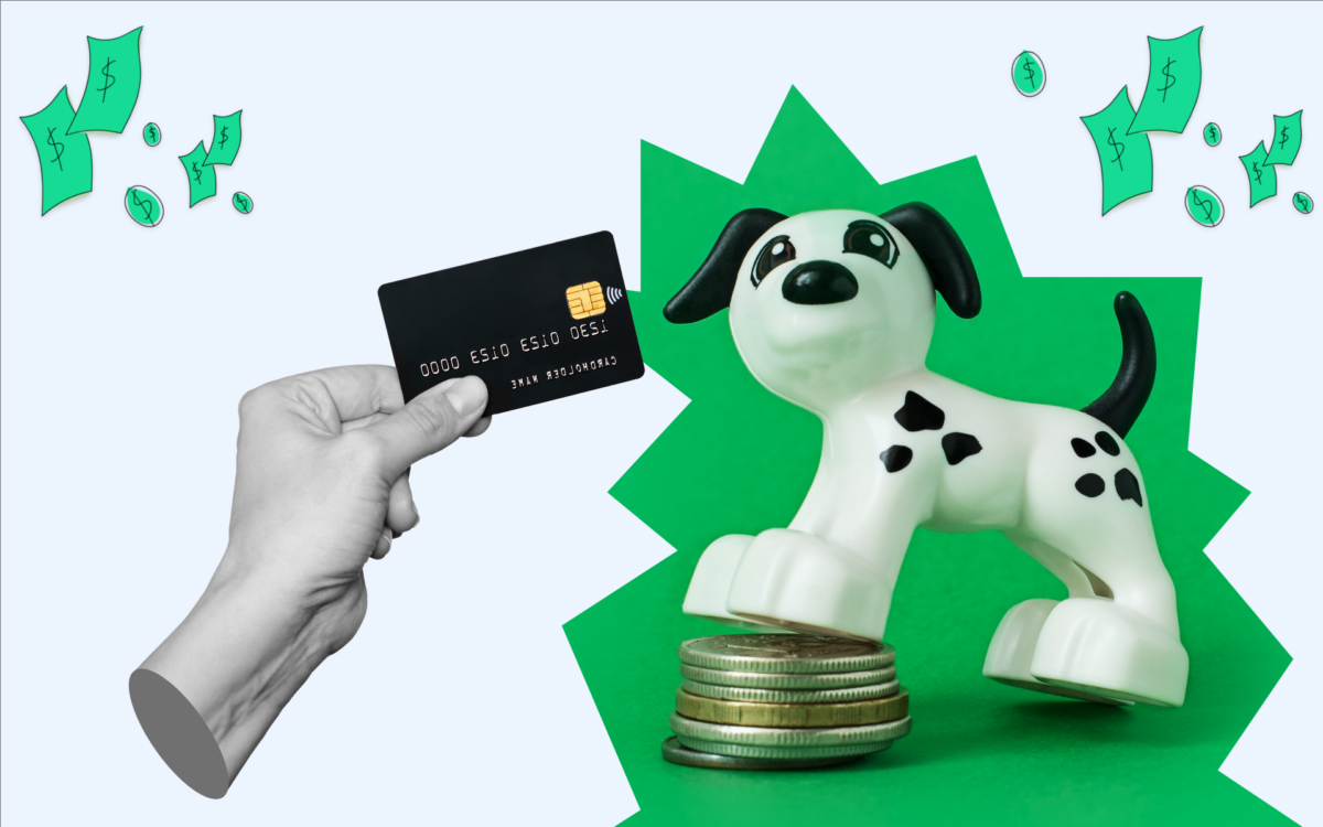 Best Credit Cards for Pets in 2024 | Credello